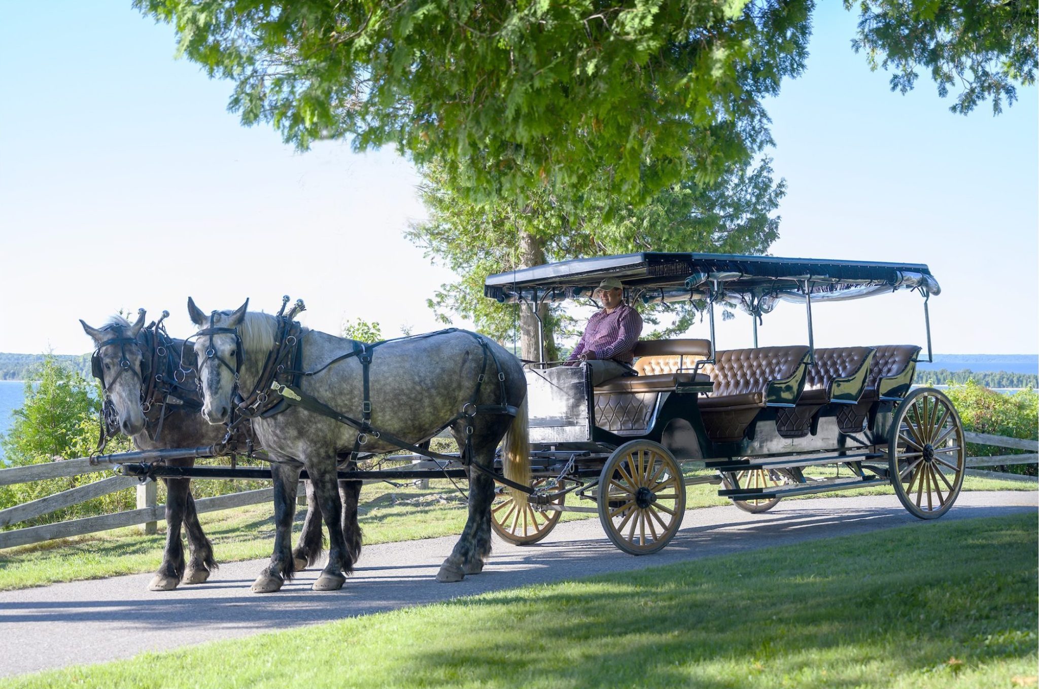 Wedding and Special Event Carriages from Mackinac Island Carriage Tours